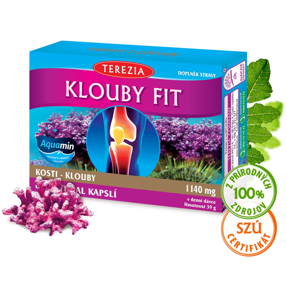 KĹBY FIT