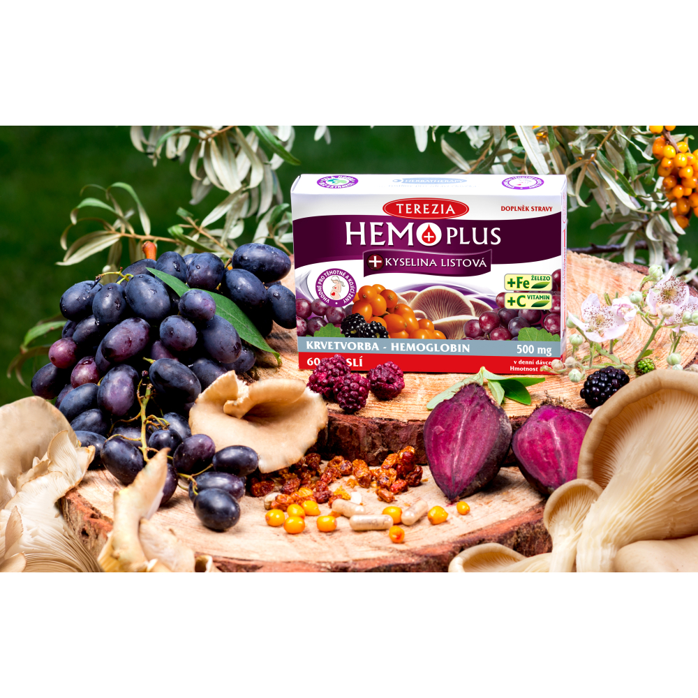 HEMO PLUS + kyselina listová | Terezia.sk | Výživové doplnky z húb a ...